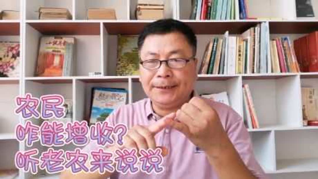 农民咋能增收?靠地摊经济、靠特色种植、靠直播能么?听老农说说