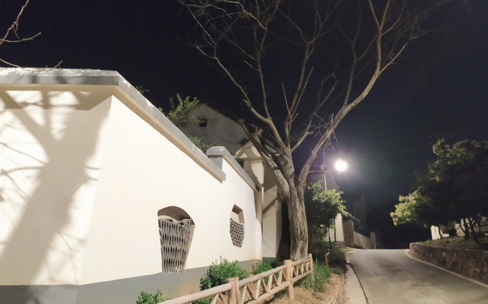 【夜游南京谷里美丽乡村】突然的夜行,到访疫情0案例的谷里 风景空气...