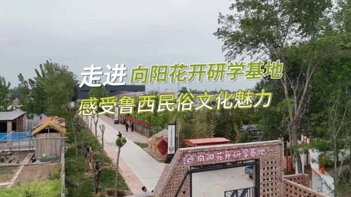 果然视频|走进向阳花开研学基地,感受鲁西民俗文化魅力