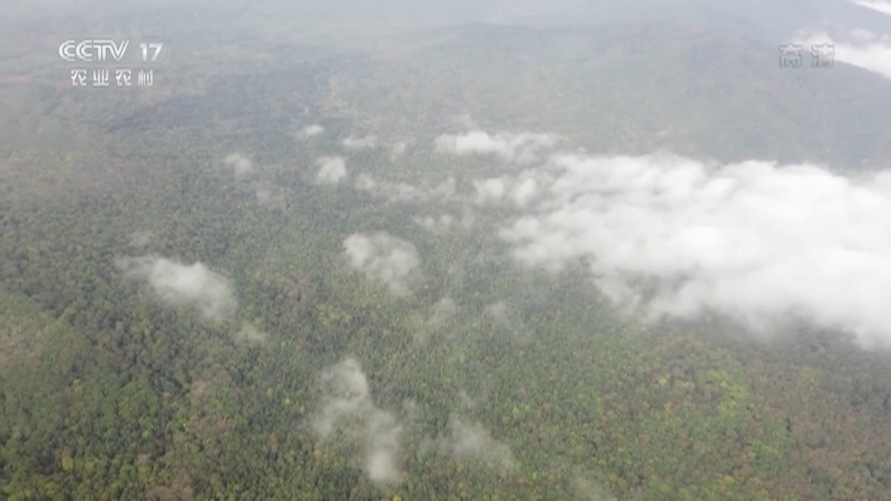 [中国三农报道]三农资讯 吉林省连续40年无重大森林火灾