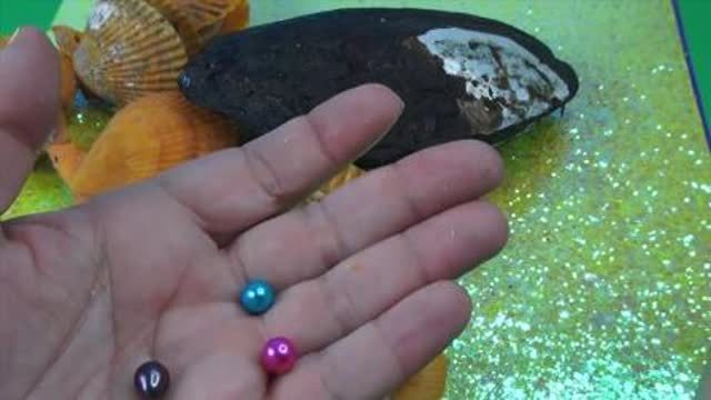 老外捡到超大蚌壳,里面藏着各种各样的珍珠,这回赚大了