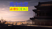 高中化学 必修5 第1章 认识有机化合物 第23式 同分异构体9