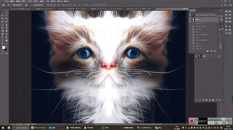 PS高级实例教程:小猫咪快速复原真实面目