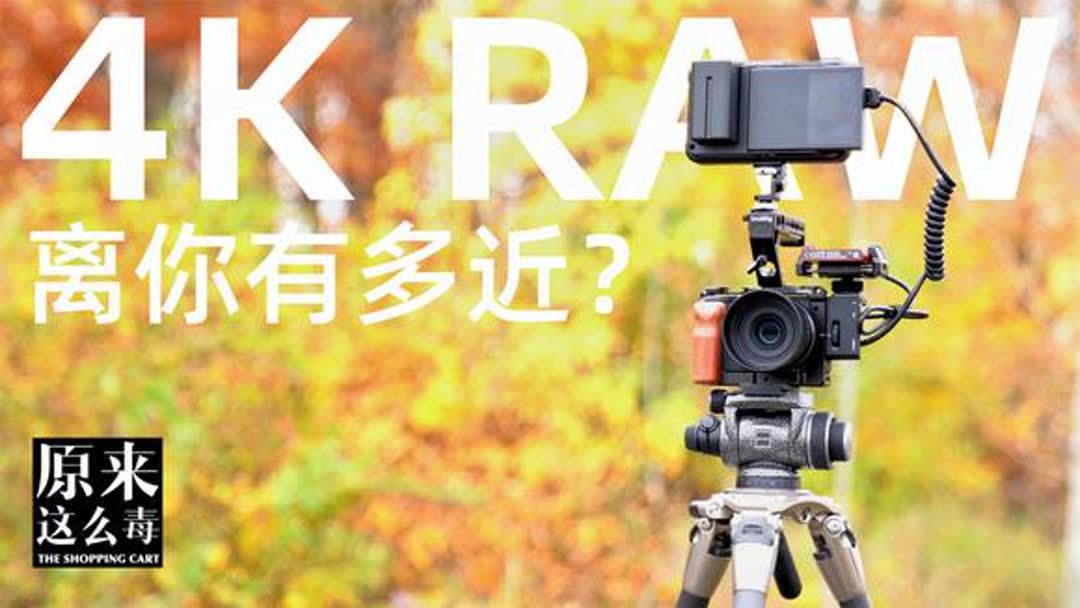 4K RAW离你有多近?——适马fp Cinema DNG视频枫叶大作战