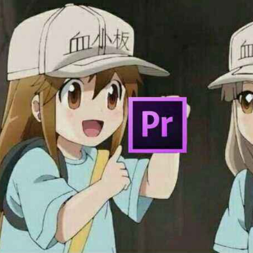 萝卜青菜pr剪辑技巧 