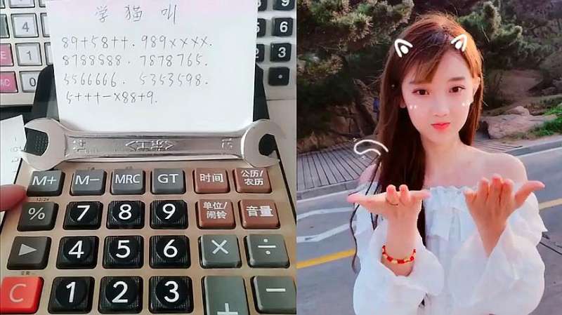 计算器版《学猫叫》,简单易学,网友:太有才了!