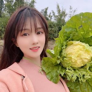 土生土长的小白菜 