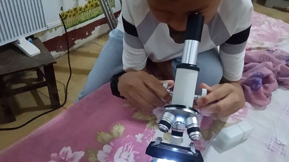 培养孩子的兴趣,认识显微镜下的世界