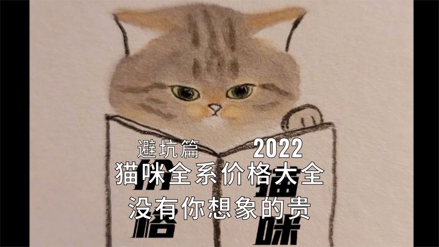 2022年,猫咪全系价格大全,别买贵了。