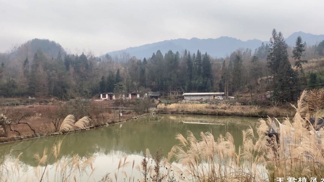 寻龙点穴风水视频,湖北大山天然一局,风水宝地原来是这样找到的