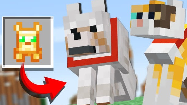 魔哒解说 我的世界 更多宠物模组