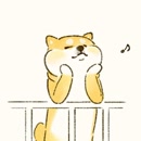 AG萌新解说 