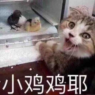 痛定思变 