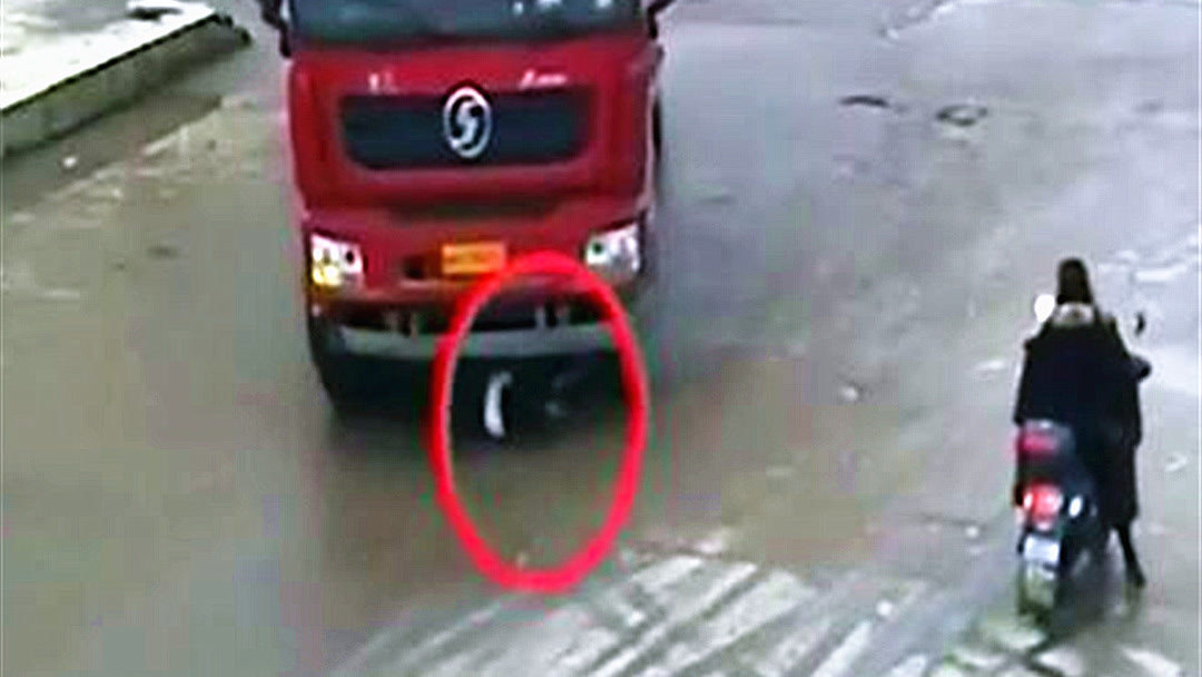 大车与电动车发生事故,车祸双方承担同等责任,死者家属却不认同