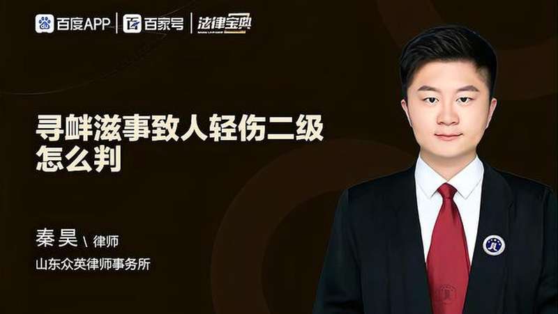 寻衅滋事致人轻伤二级怎么判