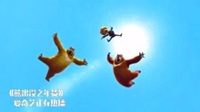 熊出没:熊大熊二与光头强联手保护森林,这样和谐的画面真美!