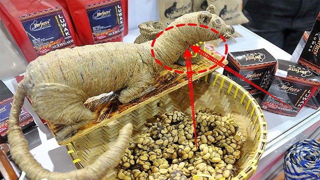 你知道猫屎咖啡是怎么产生的吗?了解真相后,再也不想喝了