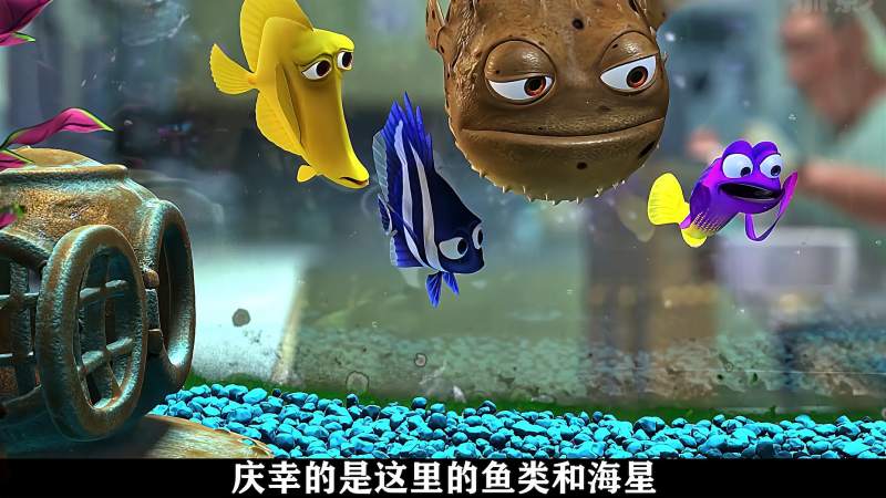 《海底总动员》动画剪辑
