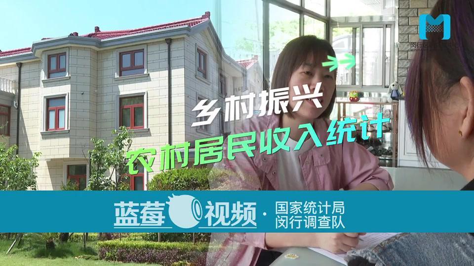 ...乡村振兴#农村居民收入统计监测工作#国家统计局闵行调查队#区...