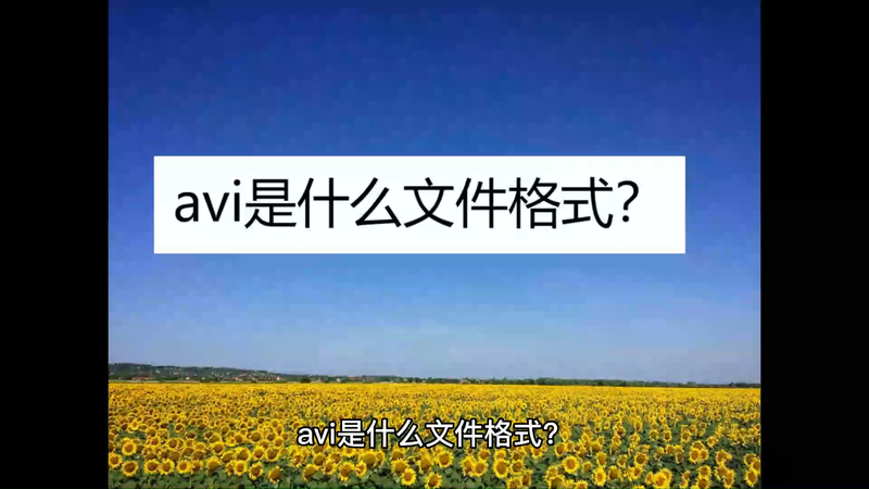 avi是什么文件格式