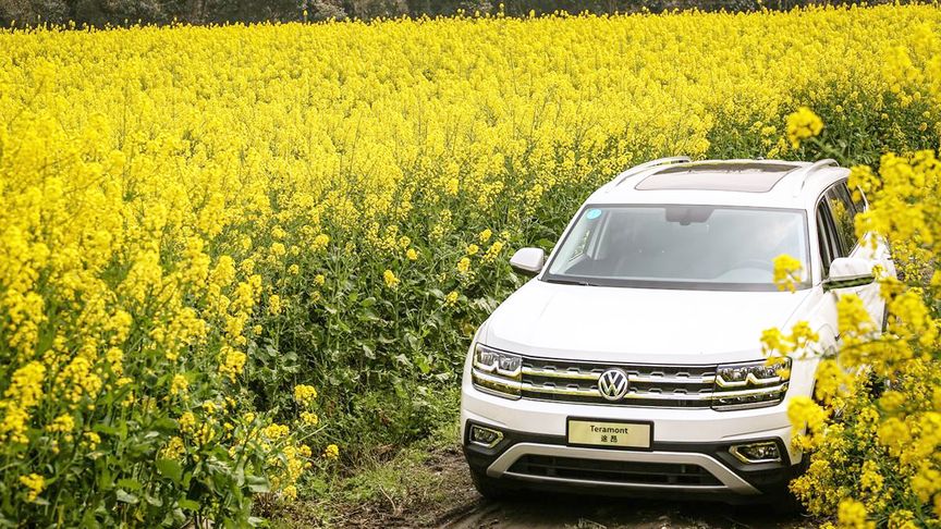 大众途昂碰撞测试,这个大块头的成绩满意吗