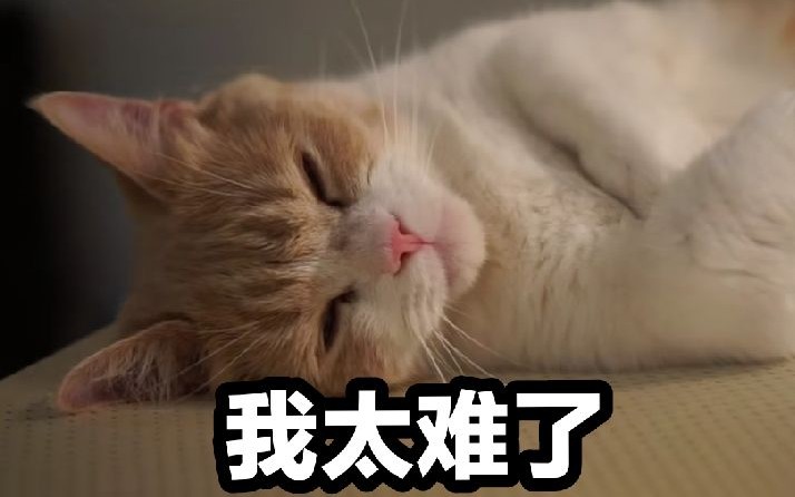 【我在b站xio习】html简单测试卷(我太难了)