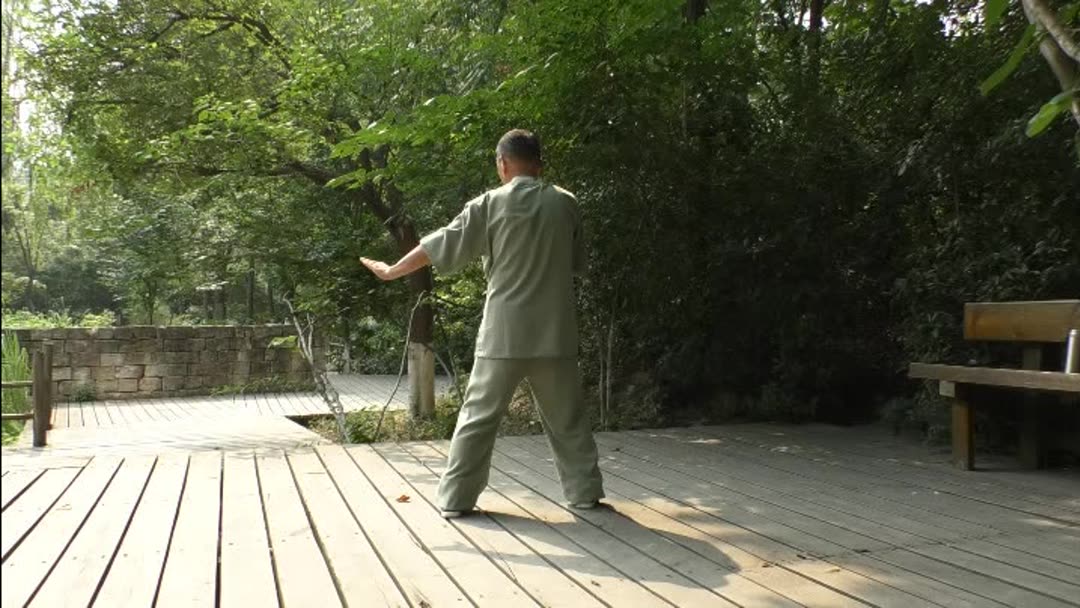 爱剪辑-杨氏太极拳88式跟我练背面超慢48一88式丶演练带口令