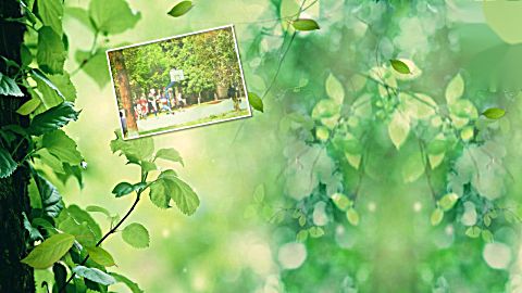 毕业纪念册影集动态PPT模版