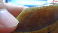 来睹石实战26(上下)-皮壳微粗打灯有水头,有绿癣的翡翠赌石