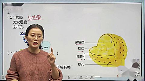 高一生物在线精品模块课