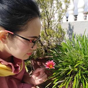 合和睦家施语 