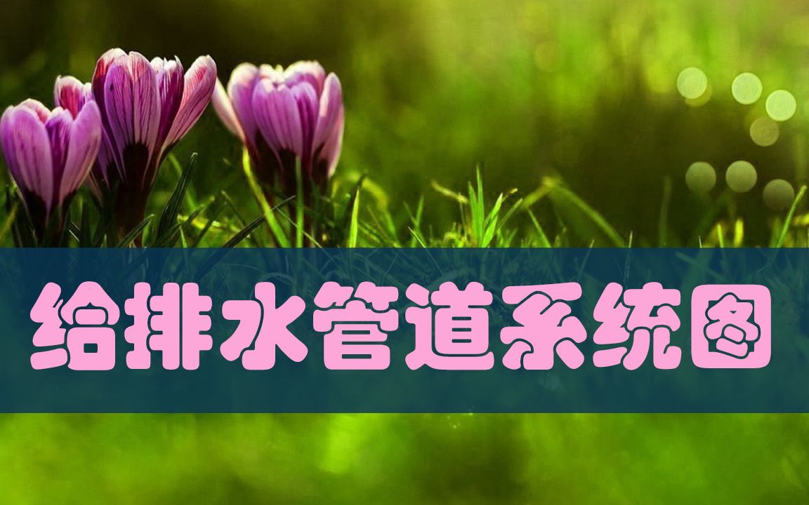 给排水管道系统图