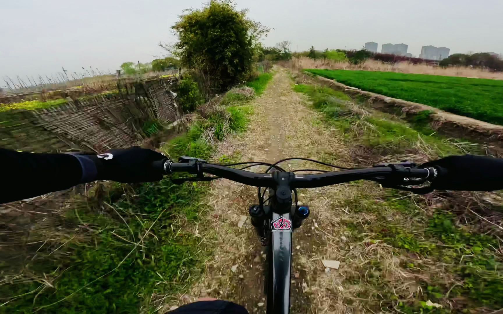 来看看GoPro 11下午5点拍摄效果