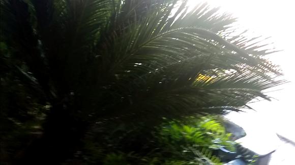 录个小视频,今天学校举办第36届教师节庆祝活动!