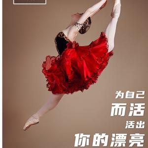 博学多才的捷达视讯JEDX 