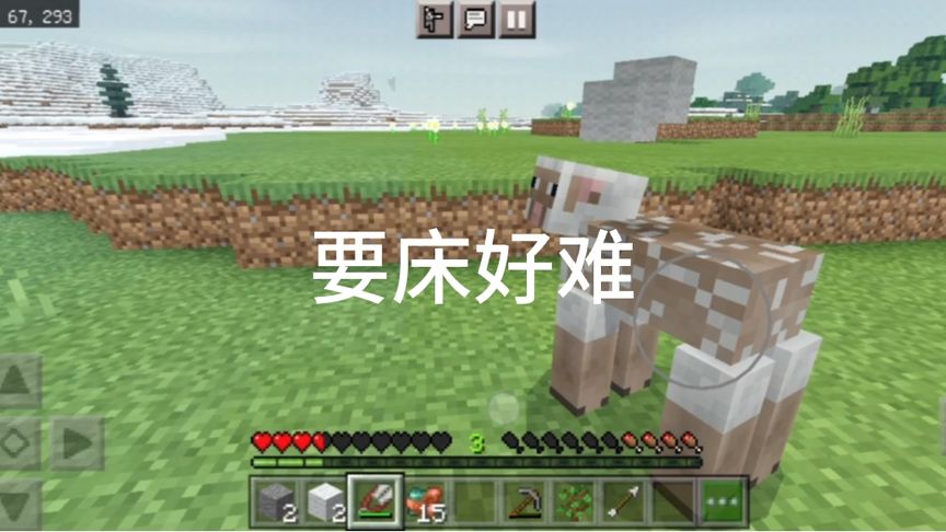 我的世界原版生存无模组-第一期