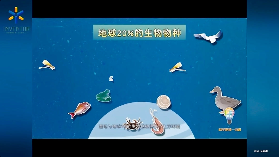 【科普】为什么湿地被称为地球之肾