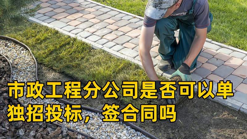 市政工程分公司是否可以单独招投标,签合同吗