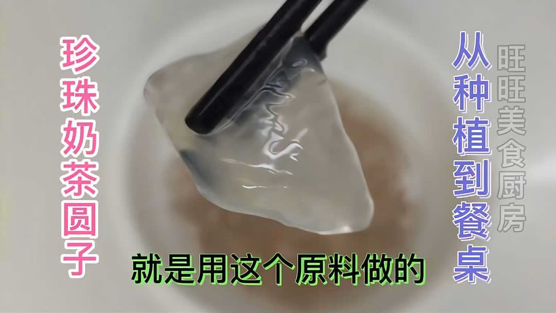 木薯从种植到餐桌,做成晶莹剔透的食物,它是珍珠奶茶丸子的原料