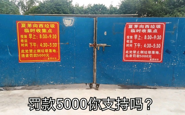 看垃圾分类进行的怎么样了!