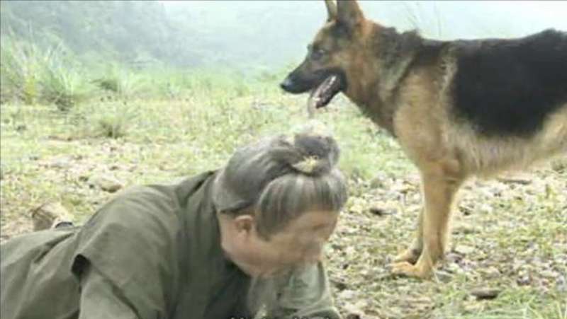 狗官丧心病狂太猖獗,用马拖拽年迈爷爷!宠物狗跑来救场!太感人