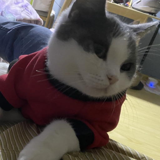 牵手夕阳晚风 