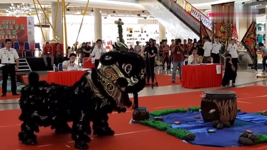 传统舞狮比赛视频,醒狮精彩表演欣赏
