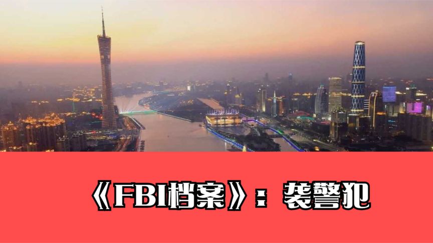 《FBI档案》:袭警犯