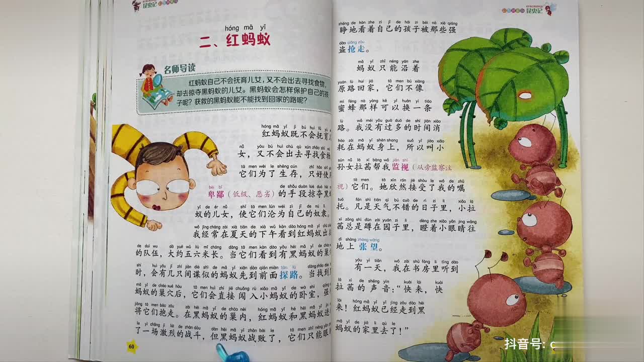 昆虫记:红蚂蚁抢黑蚂蚁的孩子和食物,黑蚂蚁怎么找到回家的路? 昆虫记