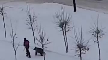 俄罗斯人打架怕过谁,急了就放熊上,谁能敌?