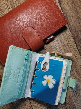 乐陶陶的时光记录 