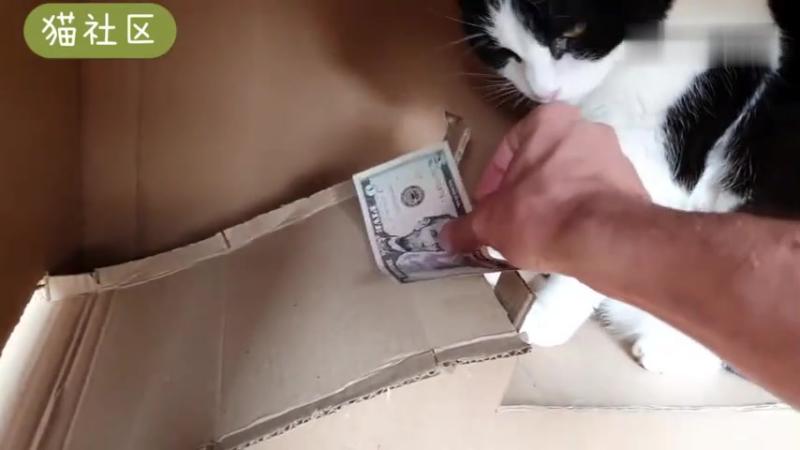 从自动取款机上取钱,它是如何工作的