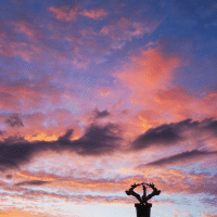 把心痛当拥有啊 