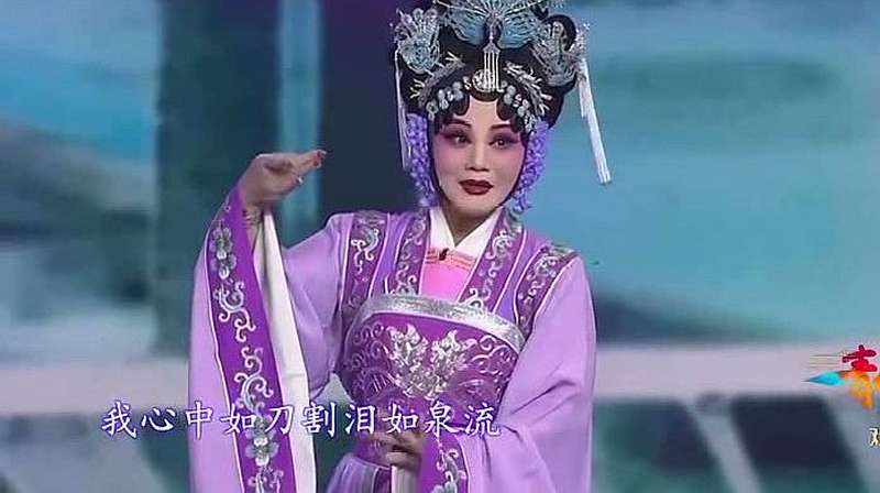 河北梆子《哪吒闹海》选段,表演的惟妙惟肖,唱得真好!